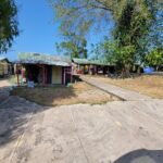 3 Hours Private Ocho Rios highlight - Summing It Up: Who Should Book This Tour?