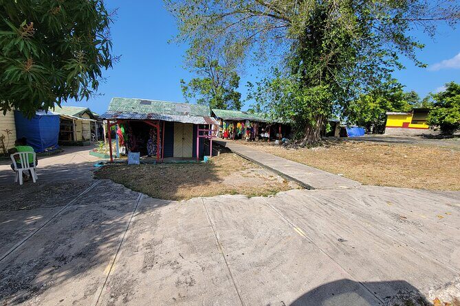 3 Hours Private Ocho Rios highlight - Summing It Up: Who Should Book This Tour?