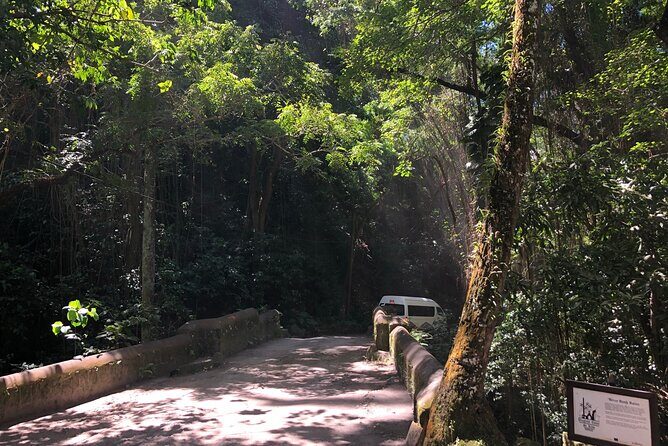 3 Hours Private Royal Highlight Tour in St. Kitts - Who Will Love This Tour?