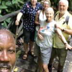 3 Hours Rainforest Group Walk with Lunch - Who Should Consider This Tour?