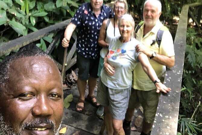 3 Hours Rainforest Group Walk with Lunch - Who Should Consider This Tour?