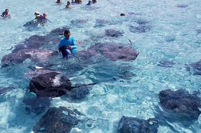 3 Stop Boat Tour Stingray City Coral Gardens and Starfish Point - Practical Tips for Tour Participants