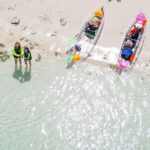 3HR Clear Kayak Mangrove and iguana island Tour in Leeward - Who Would Love This Tour?