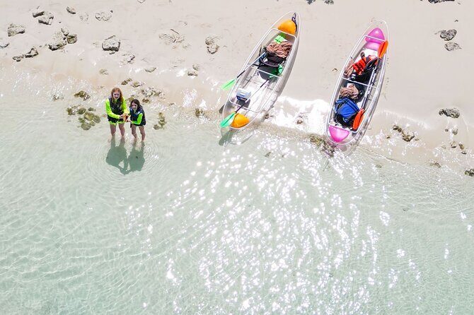 3HR Clear Kayak Mangrove and iguana island Tour in Leeward - Who Would Love This Tour?
