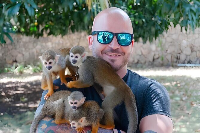 3X1 Adventure Waterfalls, Monkeys & Buggies In Puerto Plata - The Waterfalls: A Refreshing Adventure