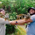 3x1: Monkeyland Waterfalls and Buggy Tour Puerto Plata - In-Depth Look at the Itinerary