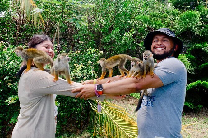 3x1: Monkeyland Waterfalls and Buggy Tour Puerto Plata - In-Depth Look at the Itinerary