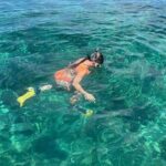 4-Hour Catamaran Party Cruise with Open Bar from Montego Bay - Practical Considerations