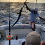 4 hour Fishing or Snorkeling - Setting the Scene: What to Expect on This 4-Hour Water Adventure