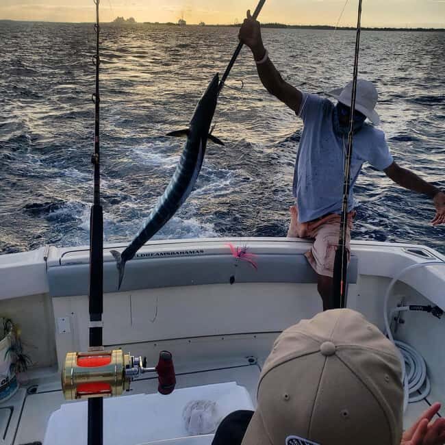 4 hour Fishing or Snorkeling - Setting the Scene: What to Expect on This 4-Hour Water Adventure