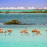 4-Hour Guided Island Tour in Bonaire for Singles and Doubles - Breaking Down the Itinerary: What’s Included and What Makes It Special