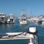 4 Hour Private Fishing Charter in Nassau - Final Thoughts