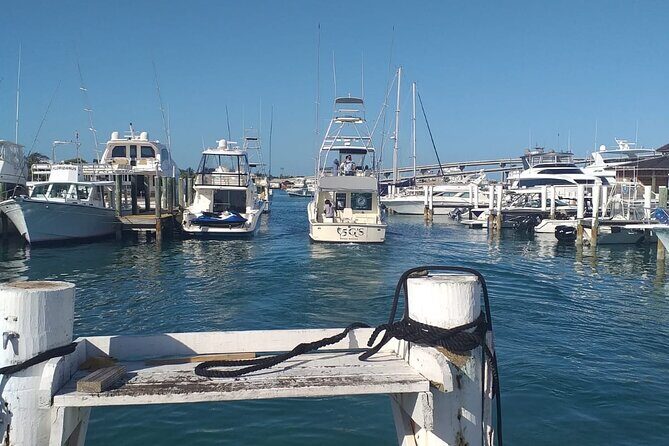 4 Hour Private Fishing Charter in Nassau - Final Thoughts