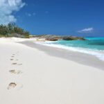 4 hours 38ft Reel Dreams Private Charter in Nassau - Deep Dive into the Experience