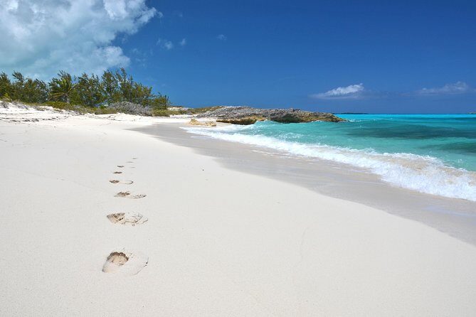 4 hours 38ft Reel Dreams Private Charter in Nassau - Deep Dive into the Experience