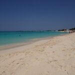 4-Stop Stingray, Snorkel, Star Fish & 7 Mile Beach (Family Owned) - The Sum Up