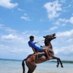 45 Minutes Horse Back Riding in Montego Bay - What You Can Expect During the Tour