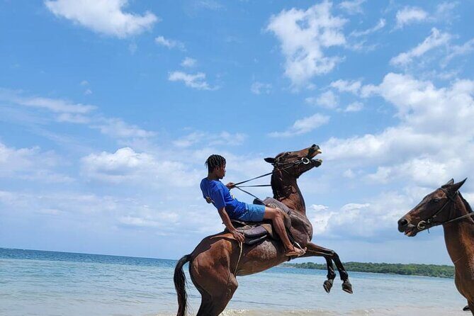 45 Minutes Horse Back Riding in Montego Bay - What You Can Expect During the Tour