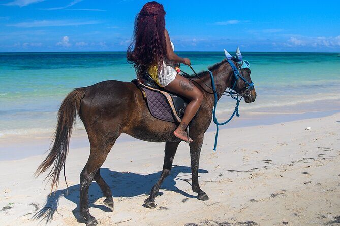 45 Minutes horseback riding at Sand and Saddle - Who Will Love This Tour?