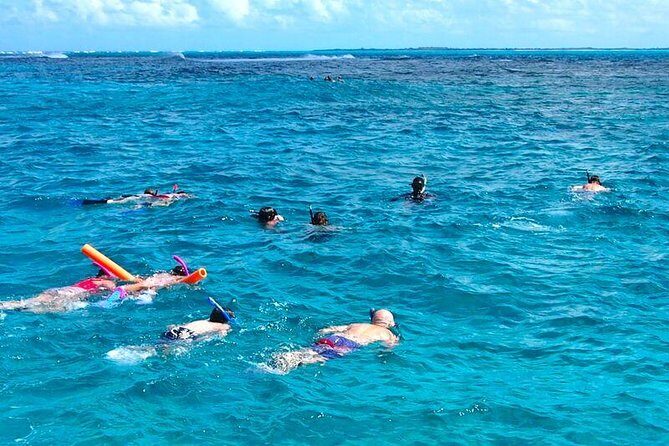 4hour Group Half Day Snorkeling Excursion in Grace Bay - How the Experience Is Reviewed