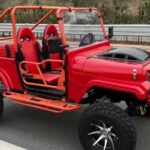 5 Hours ATV mini Jeep style Beach Hopping Tour in Curacao - Who Will Love This Tour