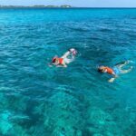 5 Hours Pigs and Turtles with Beach Stop in Bahamas - Is This Tour Right for You?