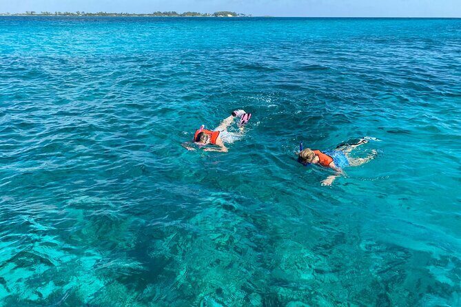 5 Hours Pigs and Turtles with Beach Stop in Bahamas - Is This Tour Right for You?