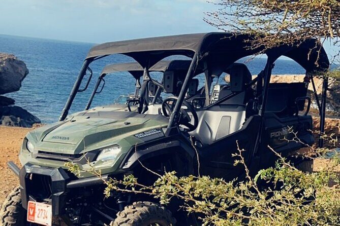 5 seat UTV Rental - The Experience: What You Need to Know