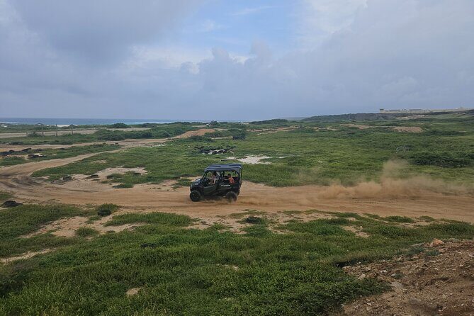 5-seater UTV 4 Hours Island tour in Aruba - The Itinerary: What Youll See and Do