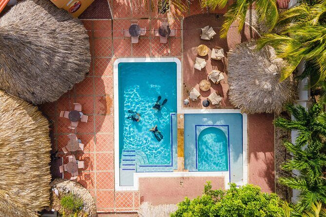 6 days unlimited diving - What You Can Expect During Your 6 Days