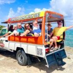 6- Hour Coastal Tour of Barbados with Drinks, Snacks and Lunch - What to Expect from the Transportation and Group Size