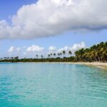 6 Hour Private Saona Island Tour with Snorkeling - What Makes This Tour Stand Out?