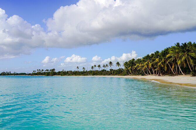 6 Hour Private Saona Island Tour with Snorkeling - What Makes This Tour Stand Out?