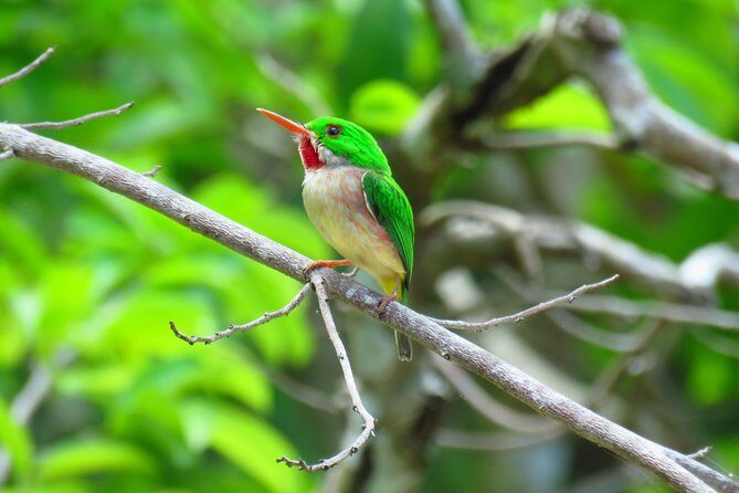7 Hour- Private Nature Tour of the Monte Plata Rainforest - FAQ