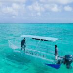75 Minutes Clear Boat Tour in Caicos Island - Who Will Love This Tour?
