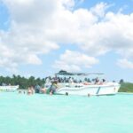8-Hour Saona Party Boat and a stop at a Natural Pool from Cap Cana - Whats Included in the Tour?