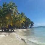 A Magical Day on Saona Island - The Practical Details: What to Know Before You Go