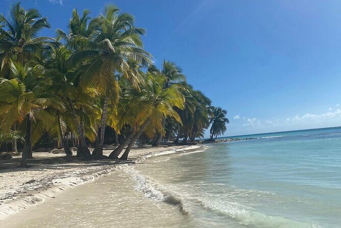 A Magical Day on Saona Island - The Practical Details: What to Know Before You Go