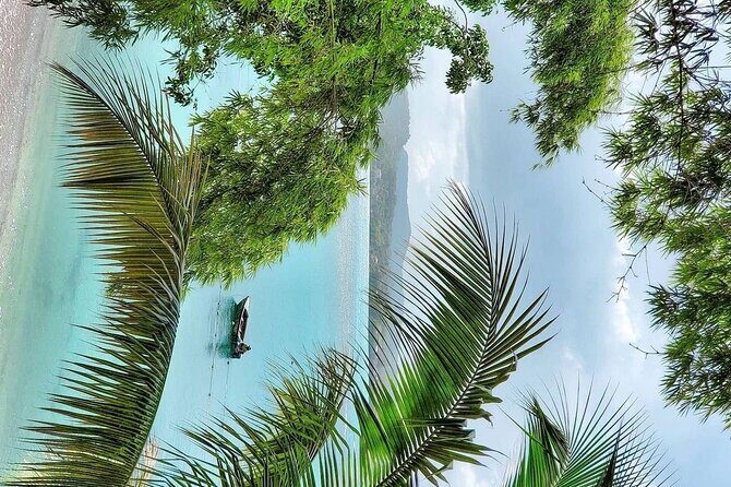 A "Private" Airport Transfer to Grand Palladium Resort - The Driver and Vehicle Experience