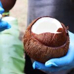 A Soufriere Farm Seasoned Experience - Exploring the Itinerary in Detail