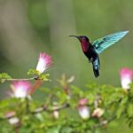 A Taste of Fond Doux Private Walking Tour - Analyzing the Value and Practical Aspects