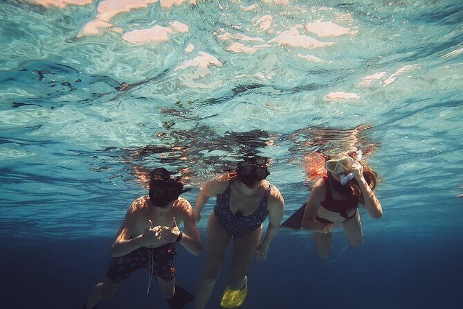 Acquarius Stingray City and Snorkel Tours - The Sum Up: Who Will Love This Experience?