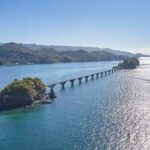 Adventure in Samaná Whale Watching, Limón Waterfall, and More - The whale watching experience