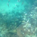 ADVENTURE PACKAGE: Buggy OffRoad Experience & Catamaran Cruise with Snorkeling - Analyzing the Cost and Overall Value