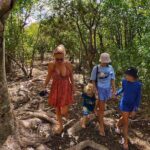 Adventure Power Boat Tour Antigua and Private Laviscount Island - Is It Worth the Price?