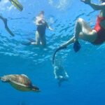 Aguadilla Tropical Snorkeling - Final Thoughts