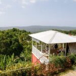 Ahhh Ras Natango Gallery and Garden Private Tour &Transportation - The Value of This Experience