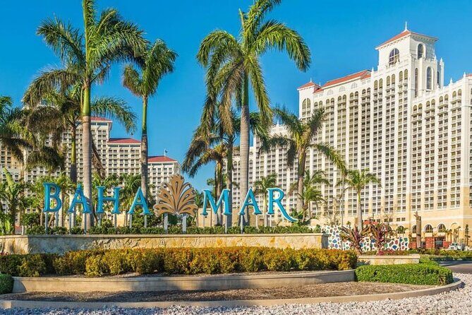 Airport Transfer to Grand Hyatt, Rosewood, SLS Bahamar - Why This Transfer Offers Great Value