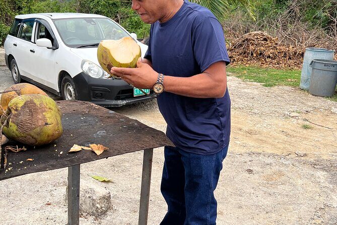 Airport Transfers Private: Montego Bay-hotels,villas & Airbnb - Meeting Point and Arrival