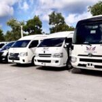 Airport Transfers to Punta Cana / Bavaro and Uvero Alto Hotels - Why Choose This Transfer?